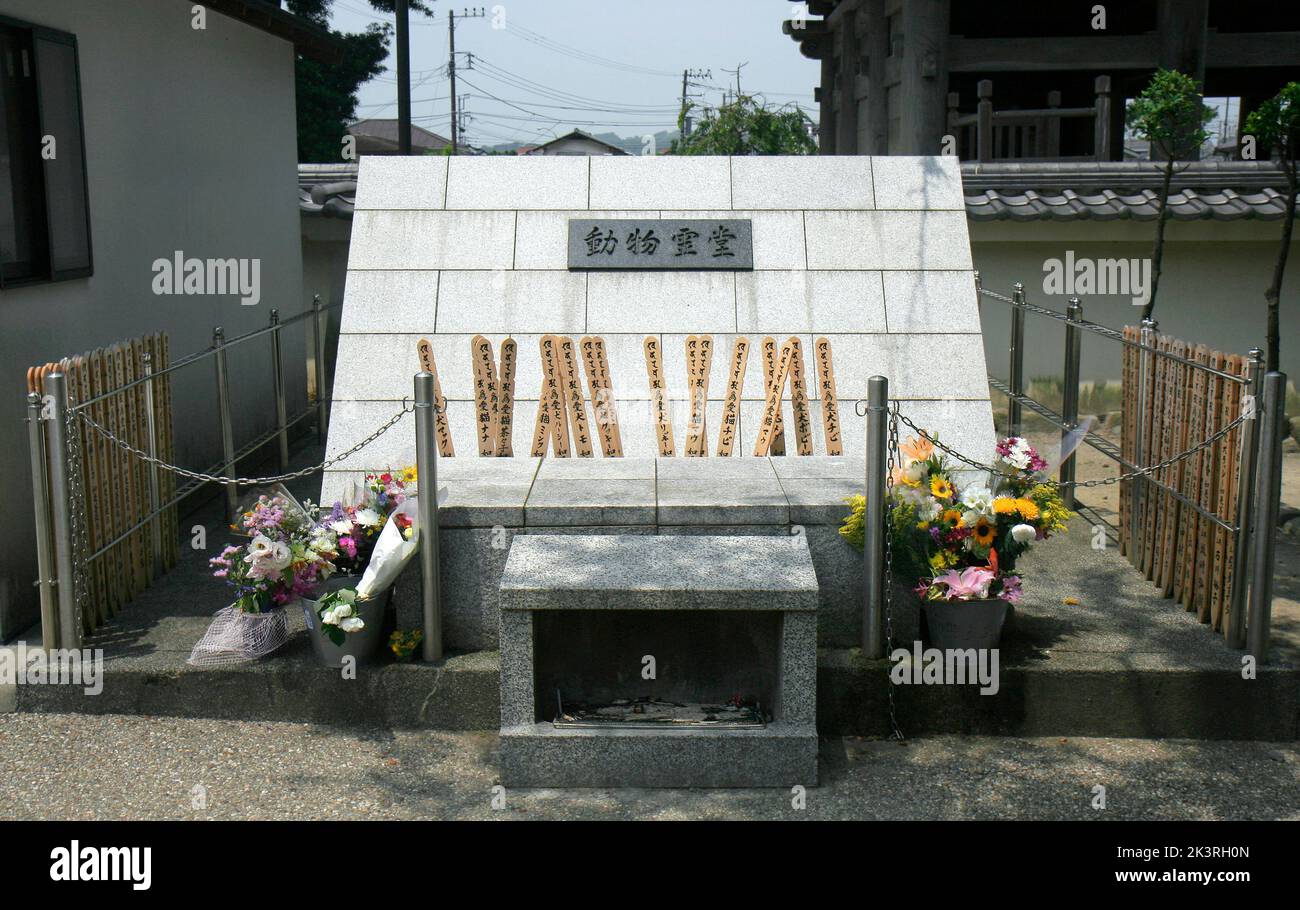 KAMAKURA,JAPAN-JULY14:Graveyard with colorful flowers at The Famous Old ...