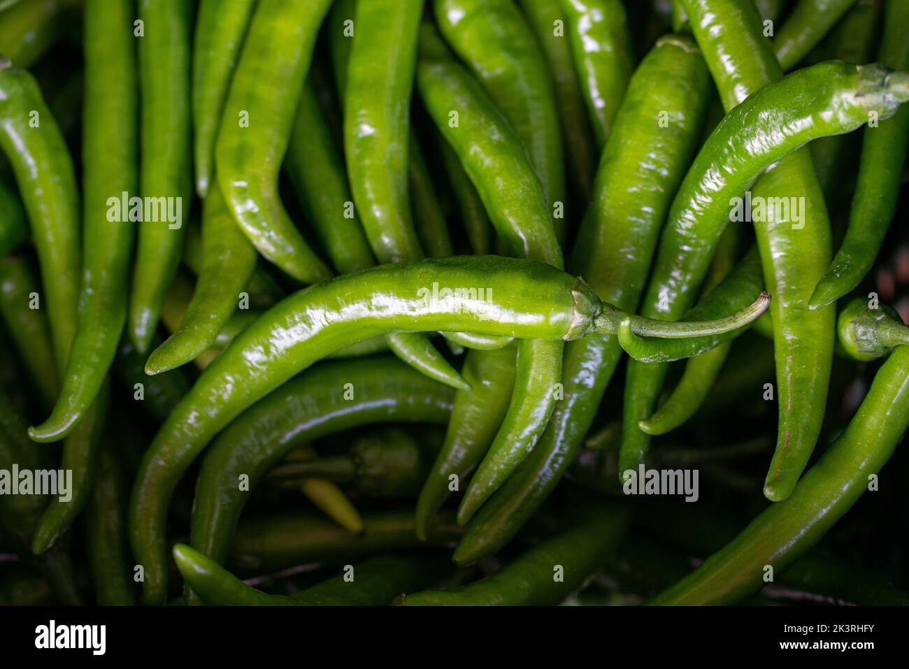 A top view of green chilies Stock Photo - Alamy