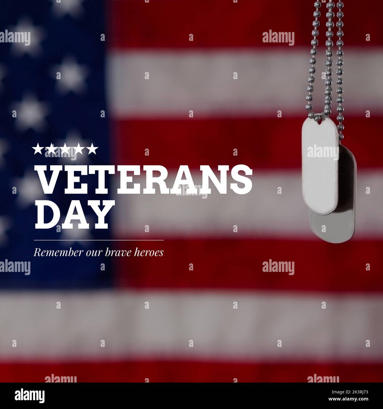 Composition of veterans day text with name tags and flag of united ...