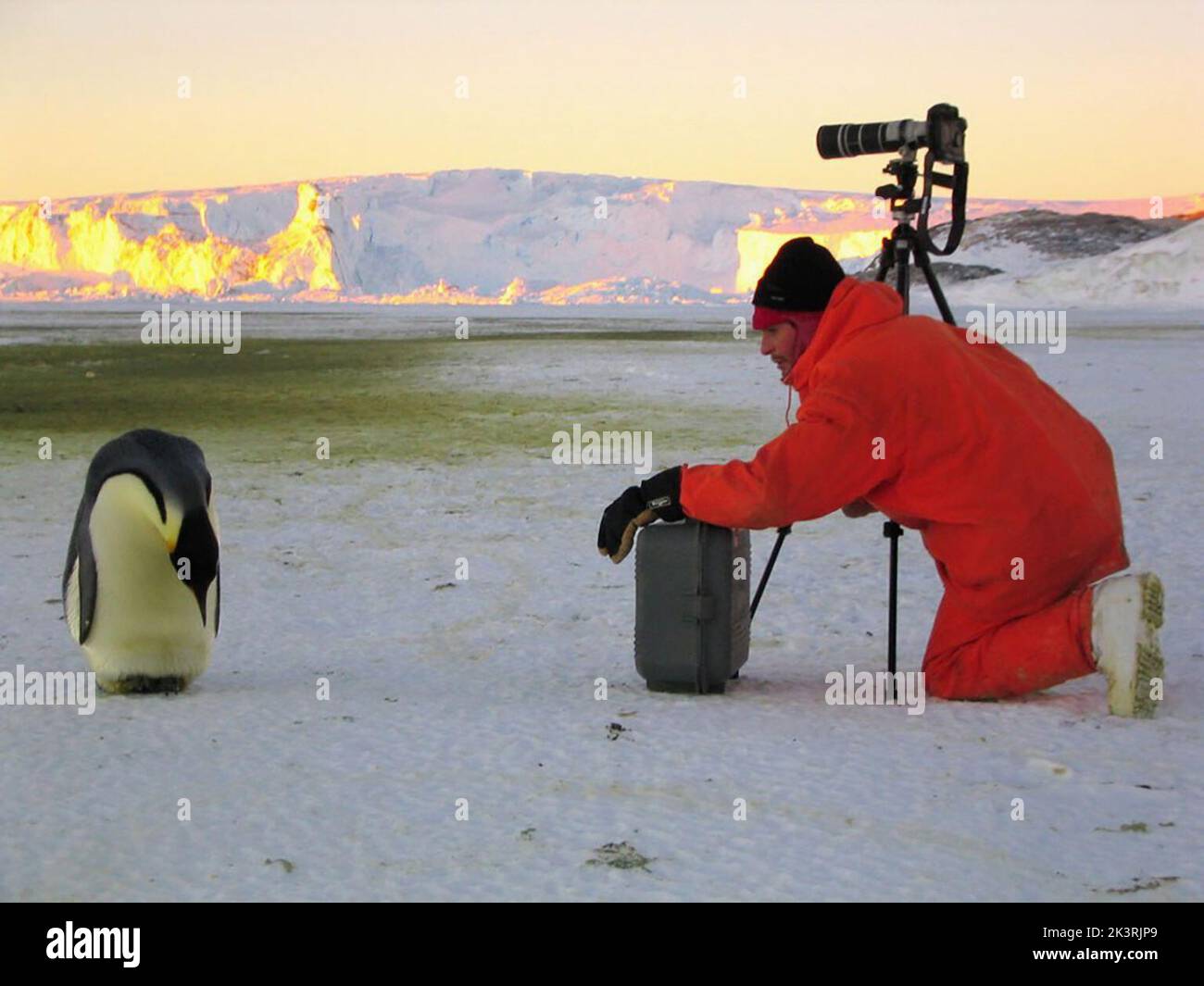Luc Jacquet Film: March Of The Penguins; The Emperor'S Journey; La ...
