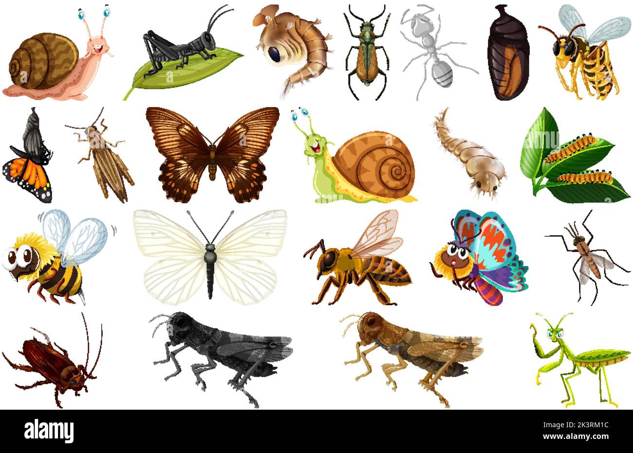 Different kinds of insects collection illustration Stock Vector Image ...