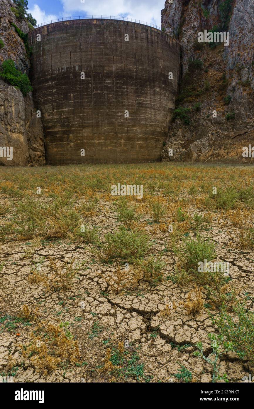 dry swamp bottom with cracked earth, in the background the dam without ...