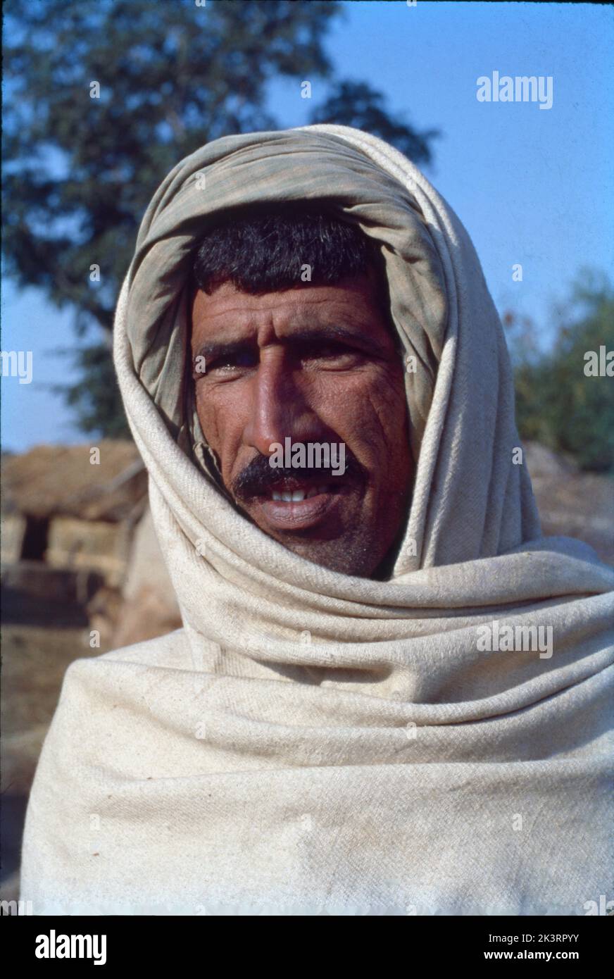 Indian farm himachal pradesh hi-res stock photography and images - Alamy
