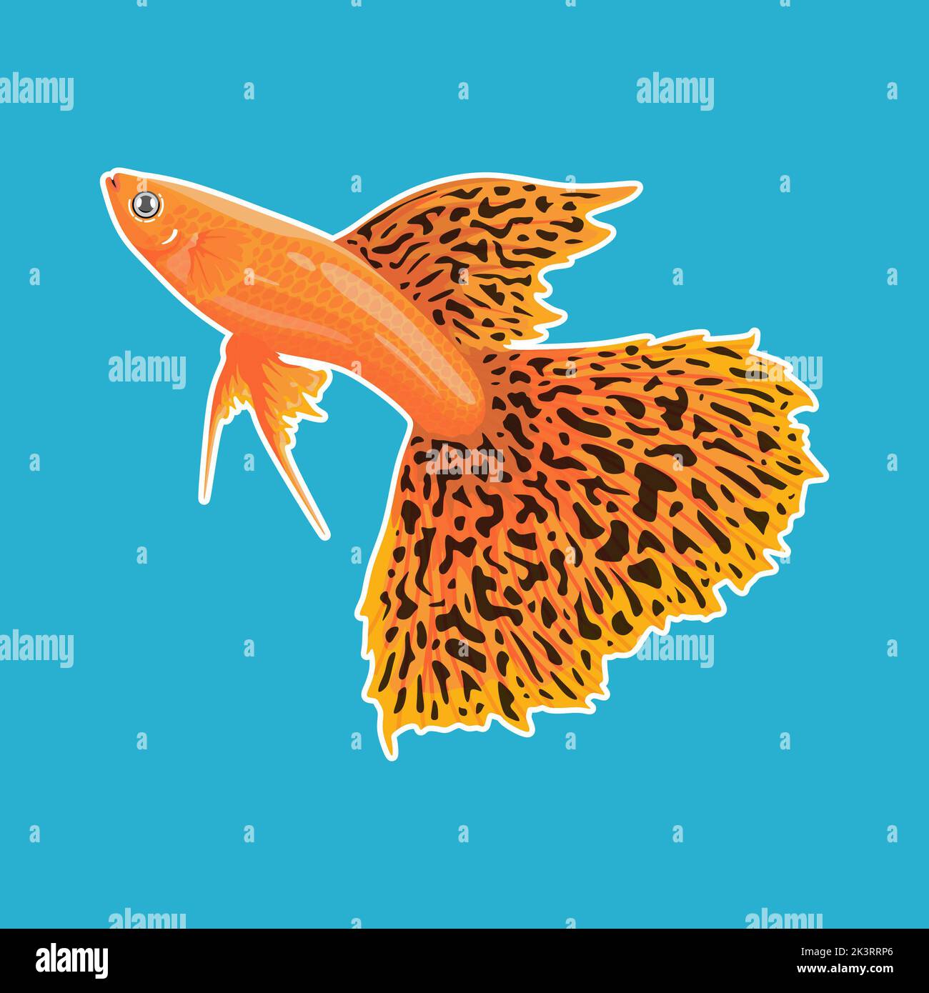 guppy fish orange color vector illustration Stock Photo - Alamy