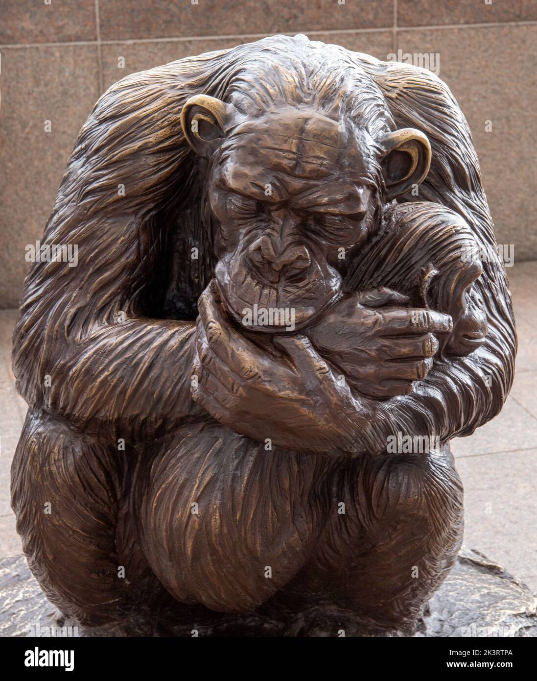 A vertical of a sculpture of a chimpanzee hugging its baby from the ...
