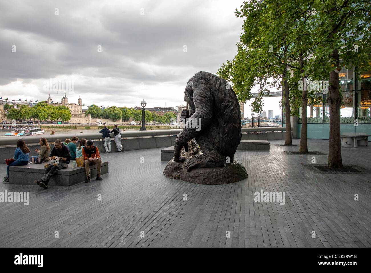 Chimpanzee statue by gillie and marc hi-res stock photography and ...