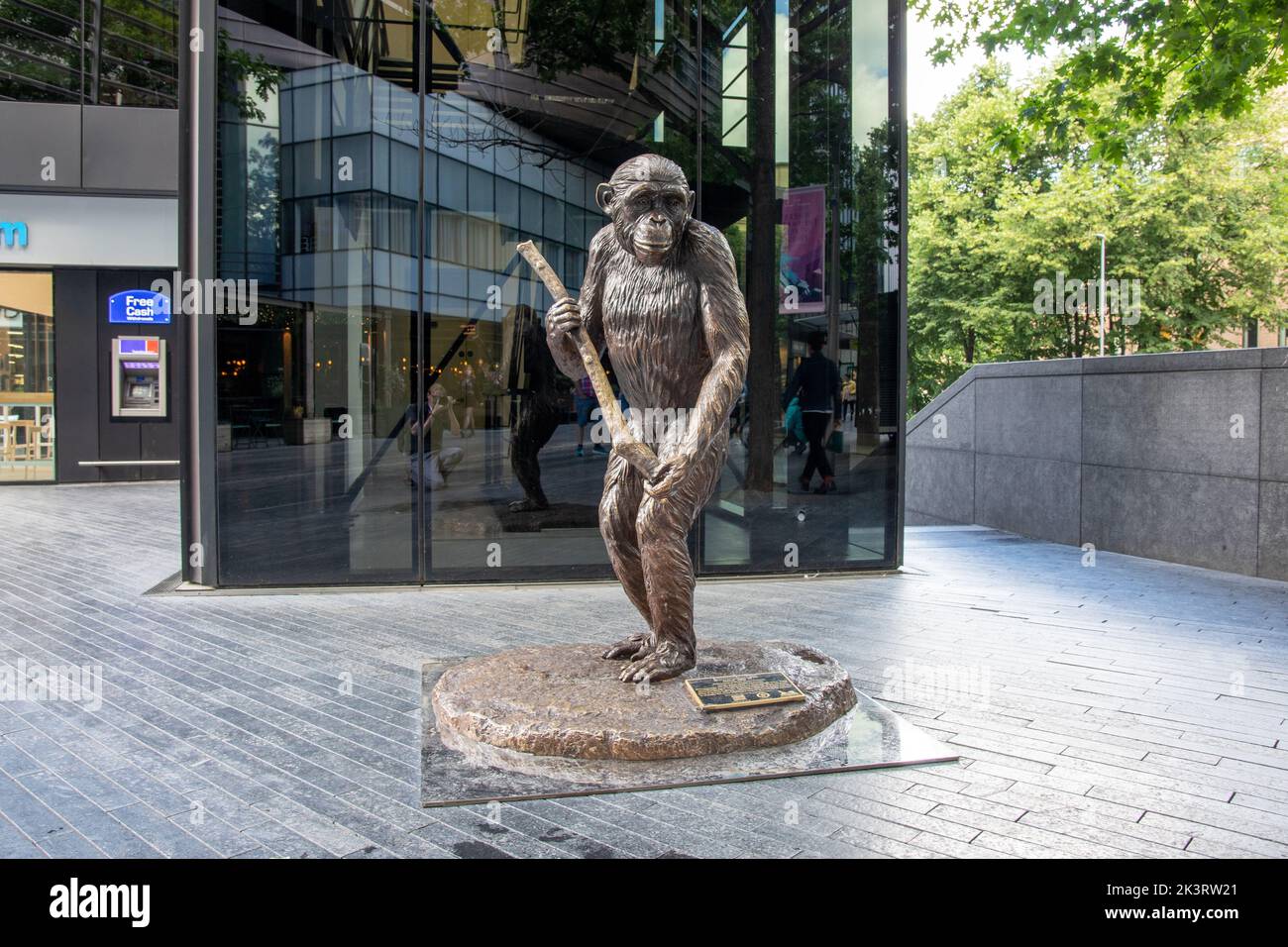 A sculpture of a chimpanzee holding a stick from the Chimps are Family ...