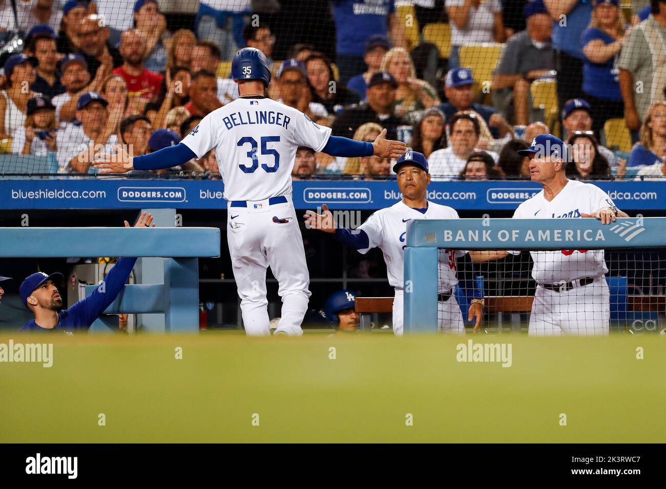 Bench in dugout hi-res stock photography and images - Alamy