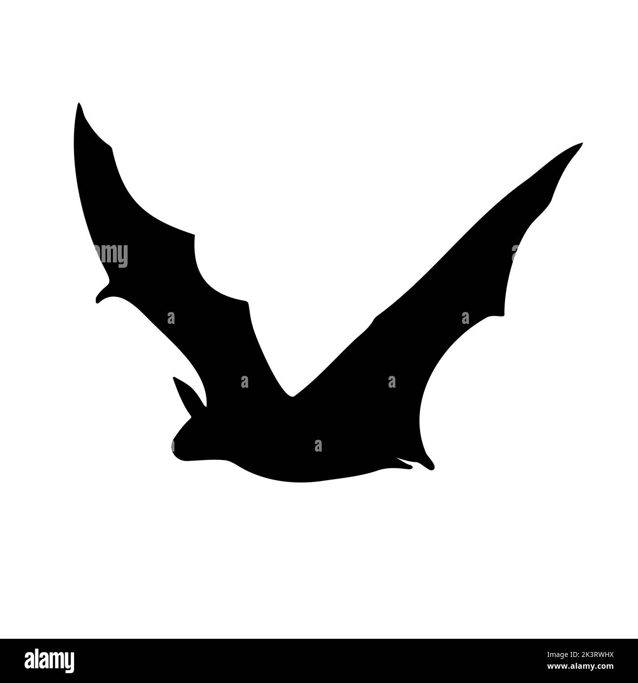 Vector hand drawn doodle sketch bat silhouette isolated on white ...