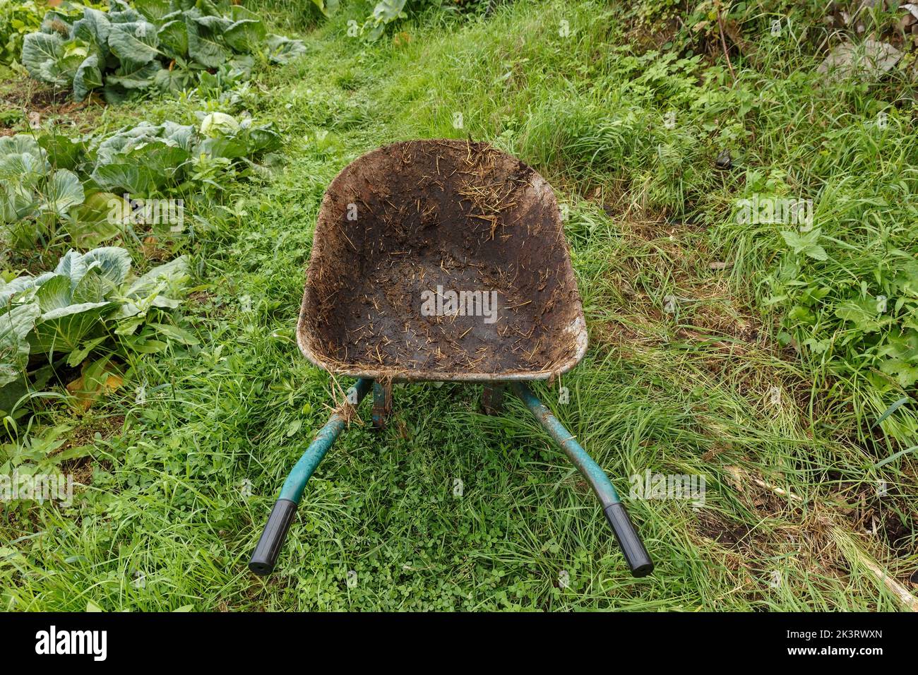 empty wheelbarrow standing on a green meadow. Wheelbarrow for ...