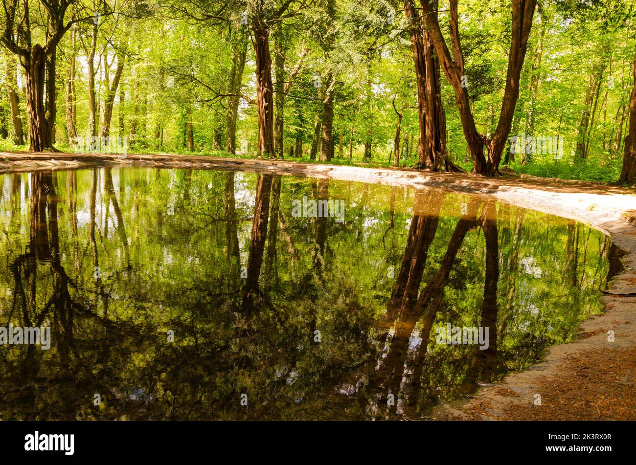 Tree-lined Pond with beautiful reflections in Antrim Castle Gardens ...