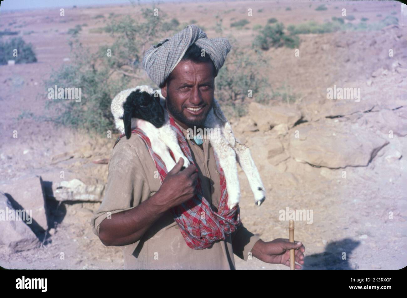 Charwaha (Shepherd), Jodhpur, Rajasthan, India Stock Photo - Alamy