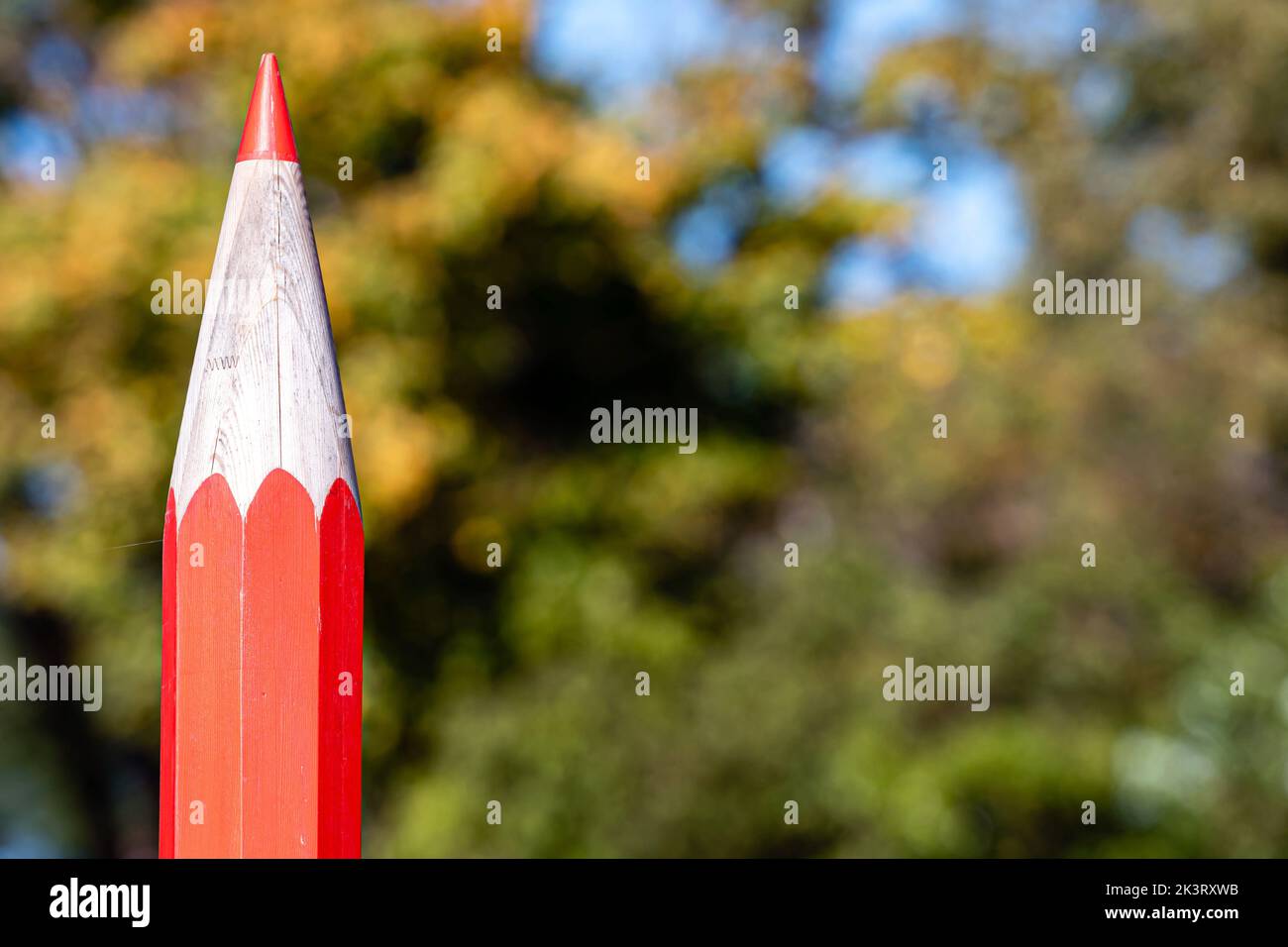 large decorative colored wooden pencils on defocused background, back ...