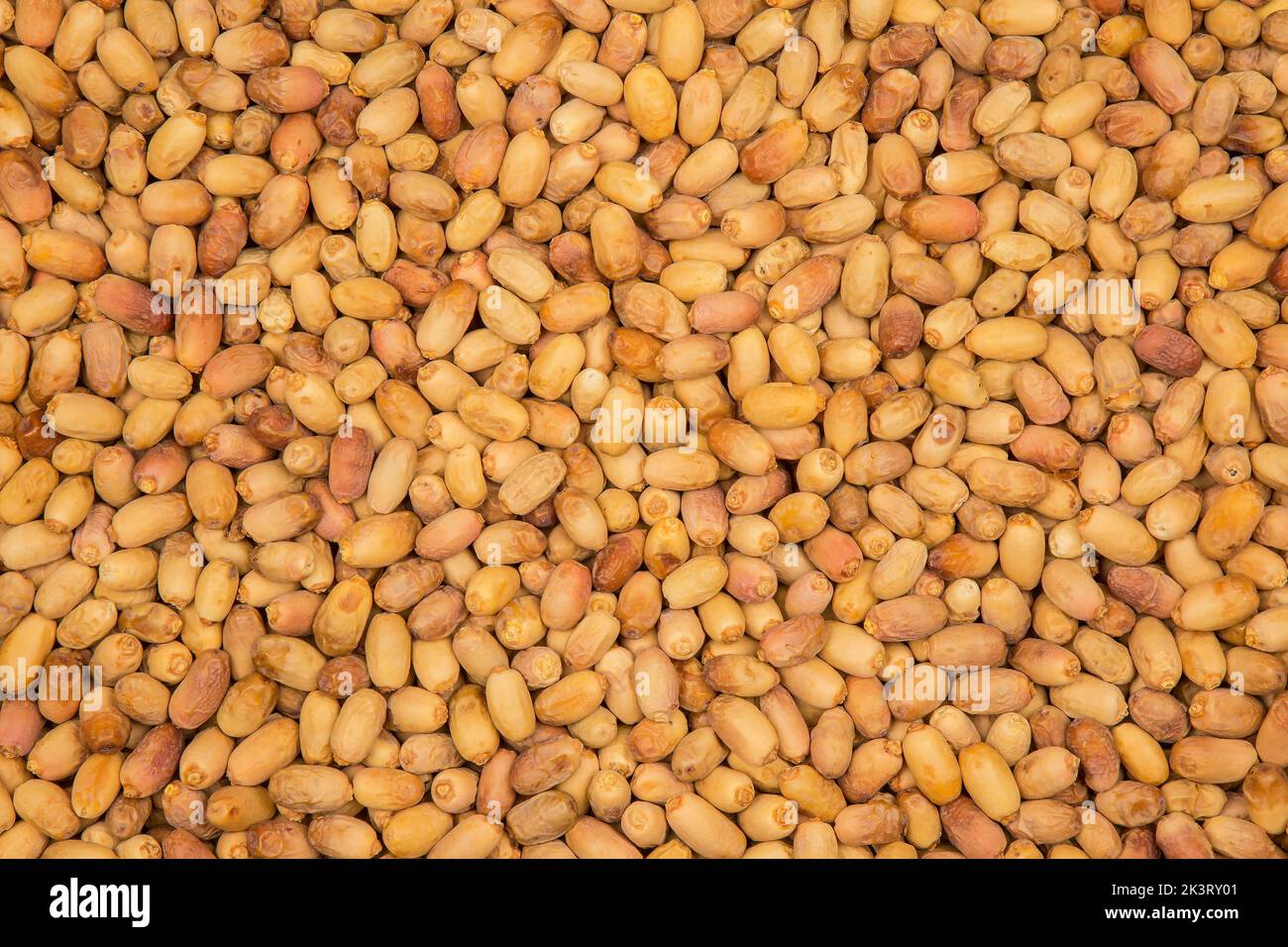 From the fruits of Madinah Al-Munawwarah dates, Kingdom of Saudi Arabia ...