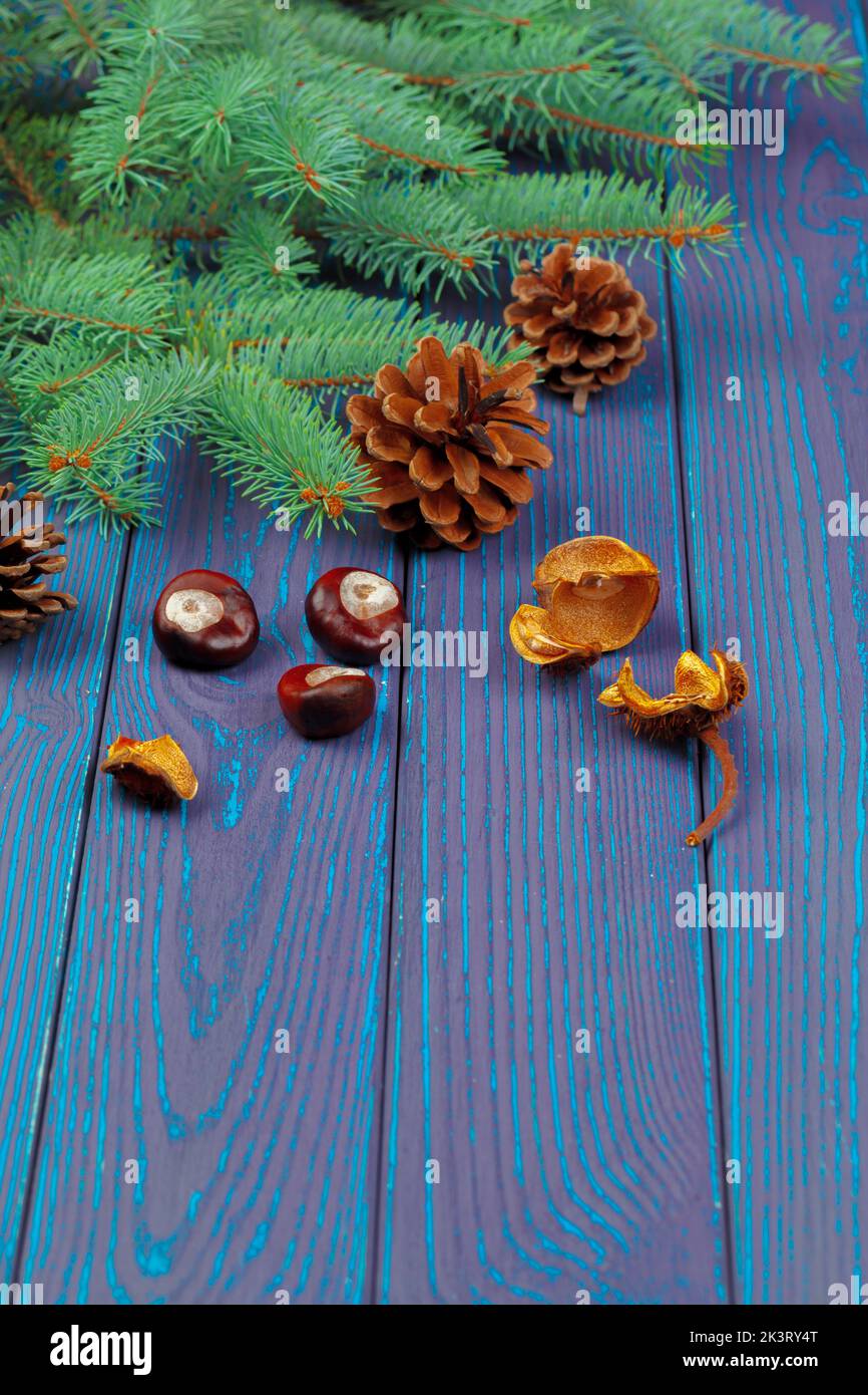 Christmas composition with fir tree branches on wooden background Stock ...