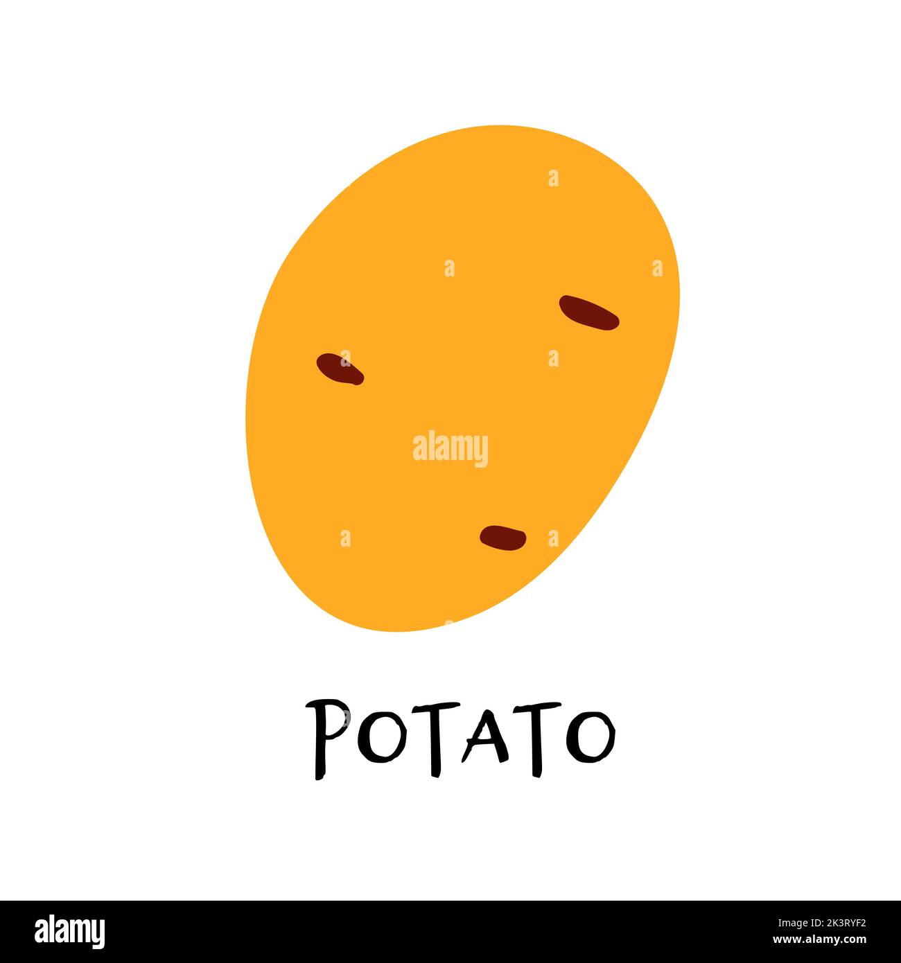Vector illustration of potato in hand drawn flat style. Doodle fresh ...