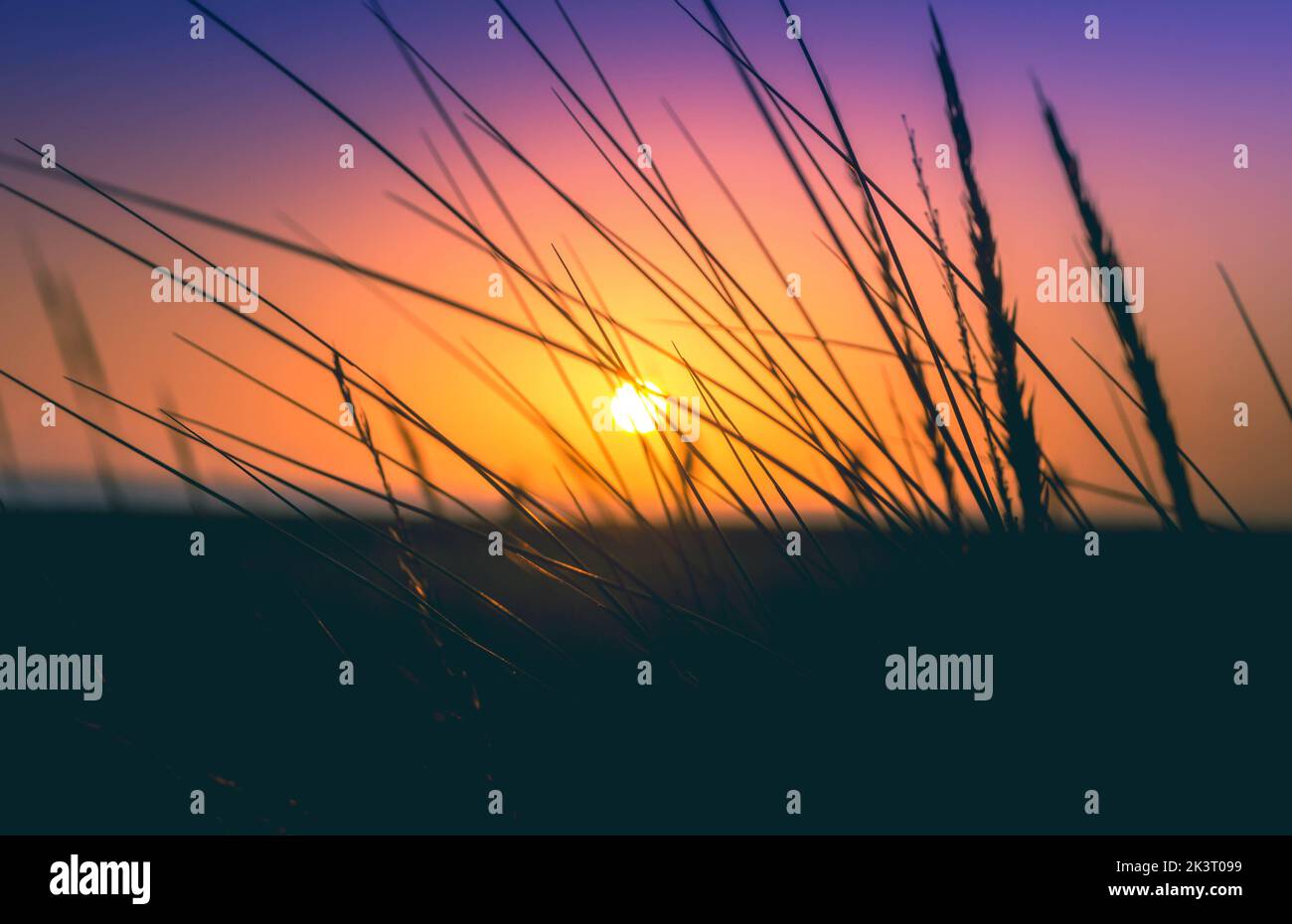 Sunset in Cabedelo Beach - Portugal Stock Photo - Alamy