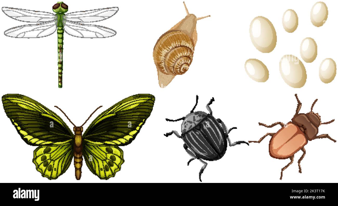 Set of different kinds of insects illustration Stock Vector Image & Art ...
