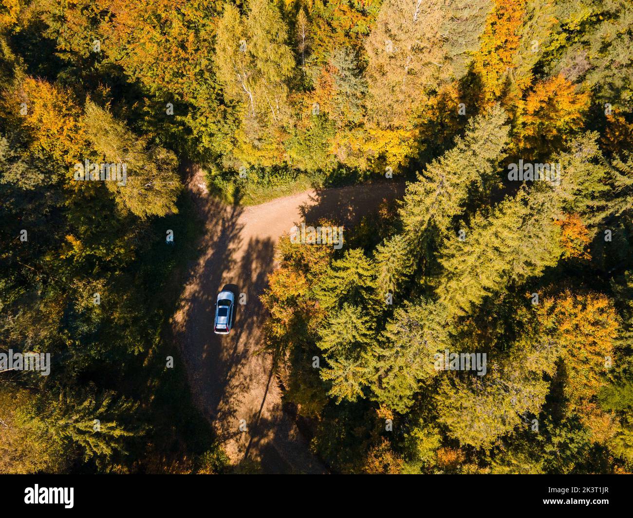 Aerial moving above trees in hi-res stock photography and images - Alamy