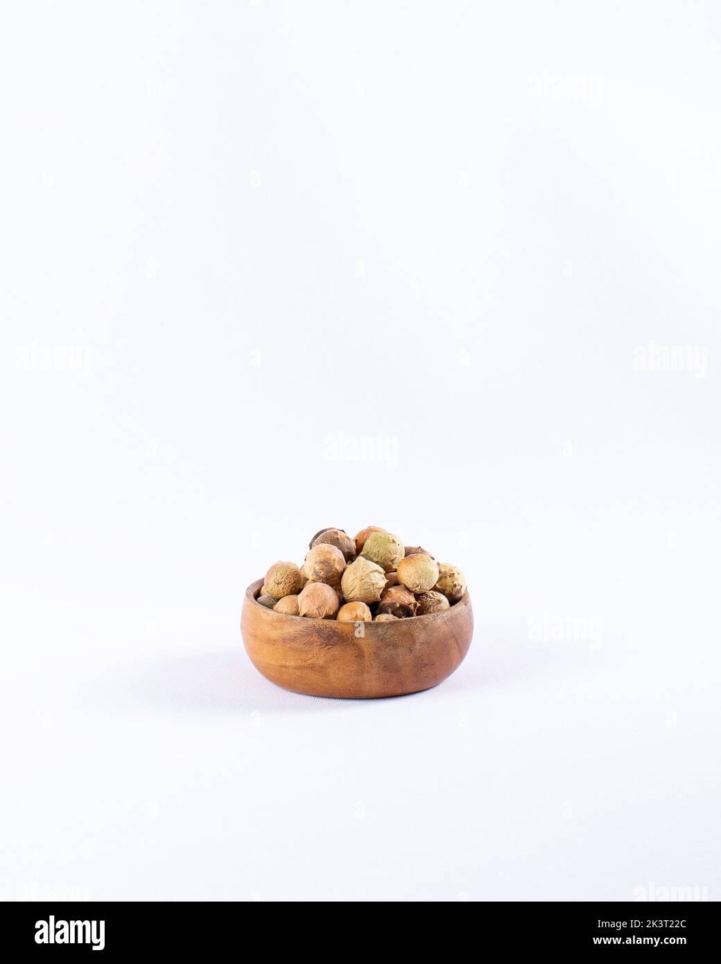 Quercus infectoria (Aleppo oak) is a species of oak, bearing galls that ...