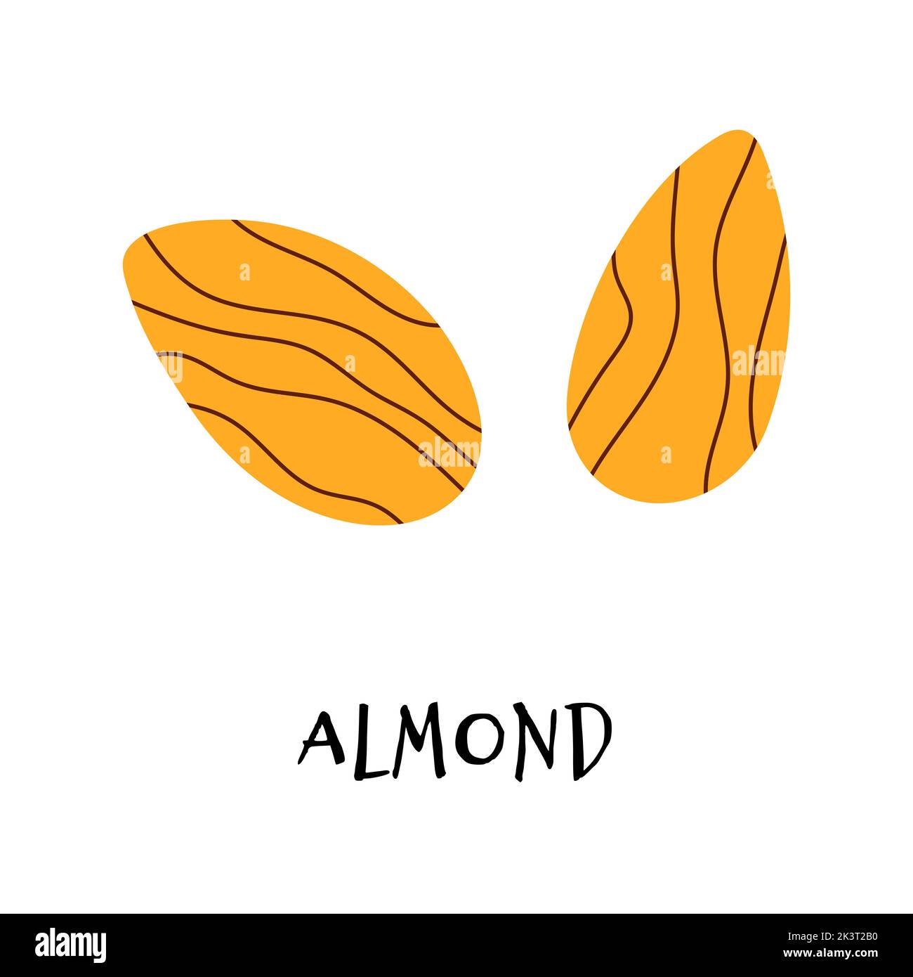 Vector illustration of raw almond in hand drawn flat style. Doodle ...