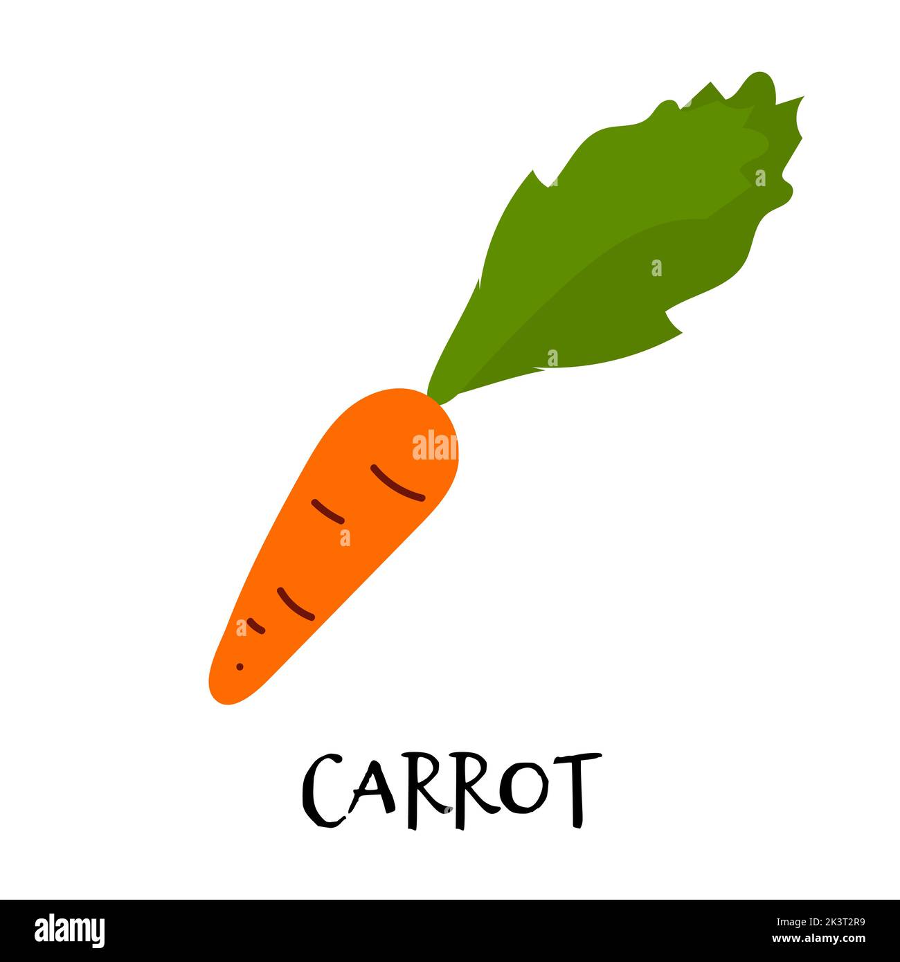 Vector illustration of arrot with green leaves in hand drawn flat style ...