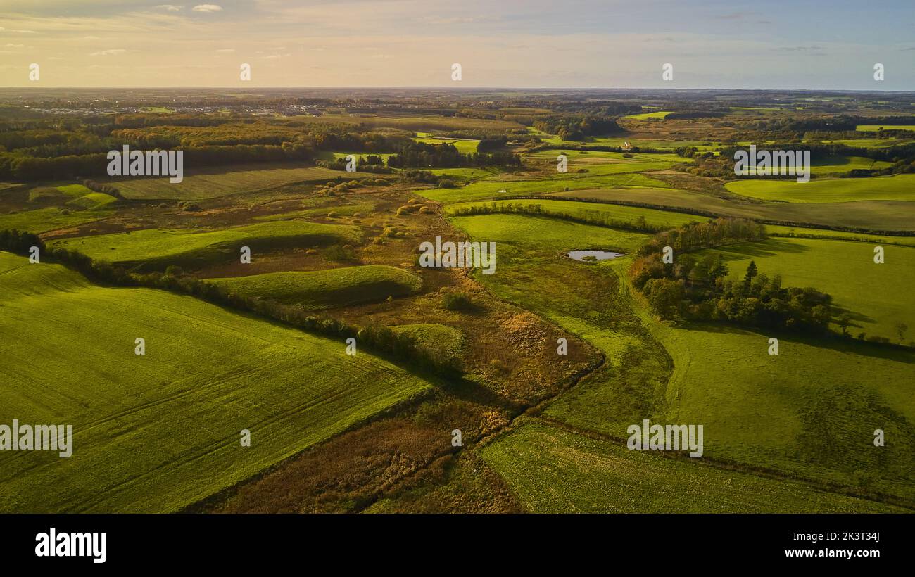 large green fresh field in denmark Stock Photo - Alamy