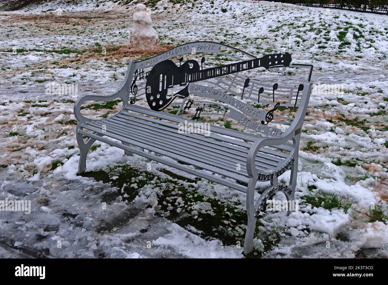 River Reeves Viola Beach bench with guitar and music motif, Grappenhall ...