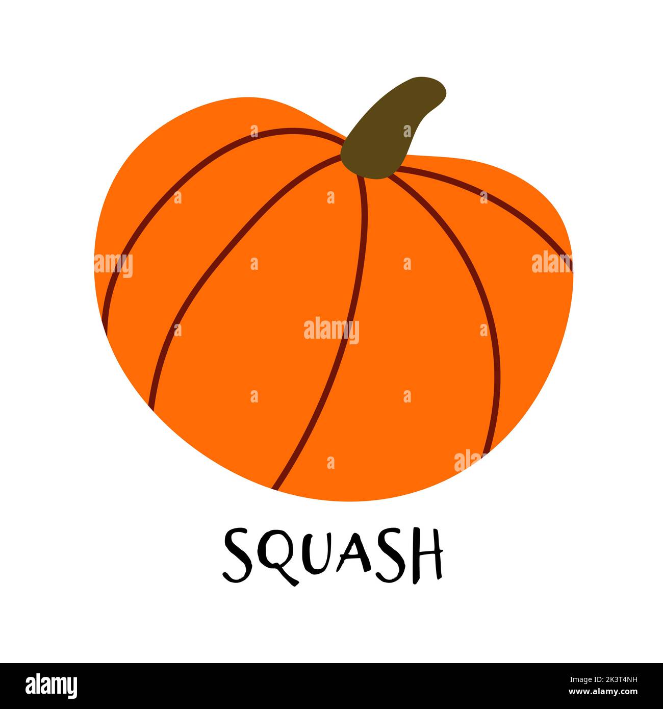 Vector illustration of ripe squash in hand drawn flat style. Doodle ...