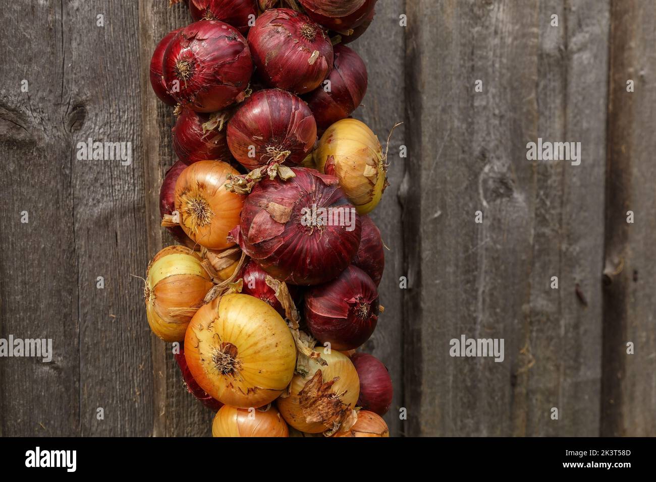 Sale of an onion plait hi-res stock photography and images - Alamy