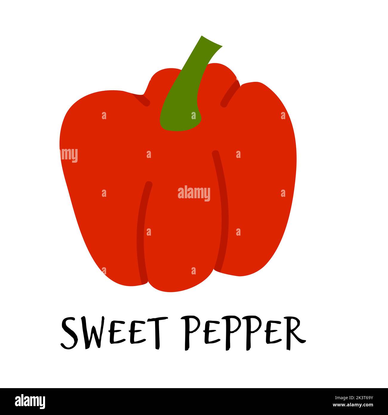 Vector illustration of sweet red pepper in hand drawn flat style ...