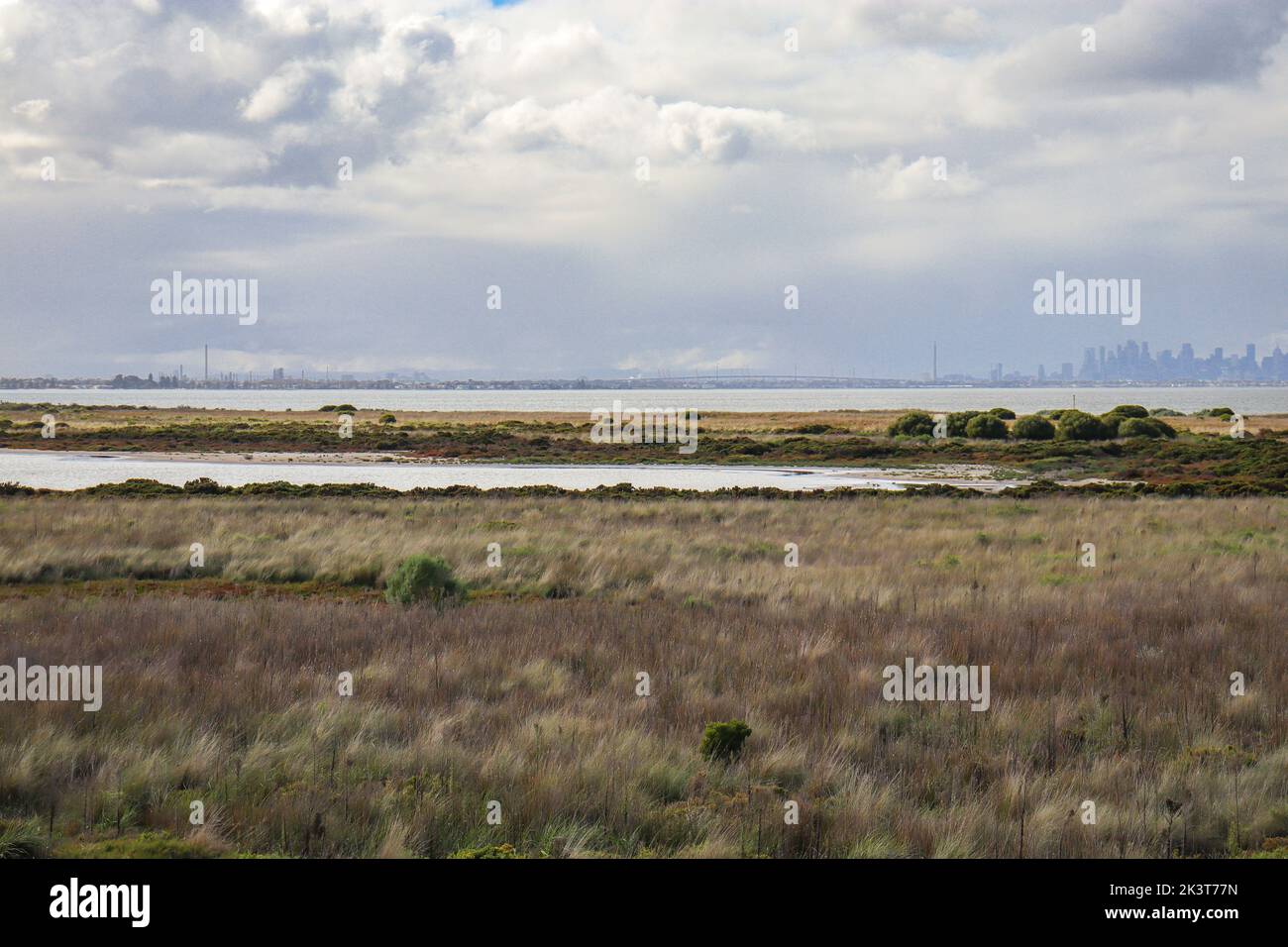 Melbourne wetlands hi-res stock photography and images - Alamy