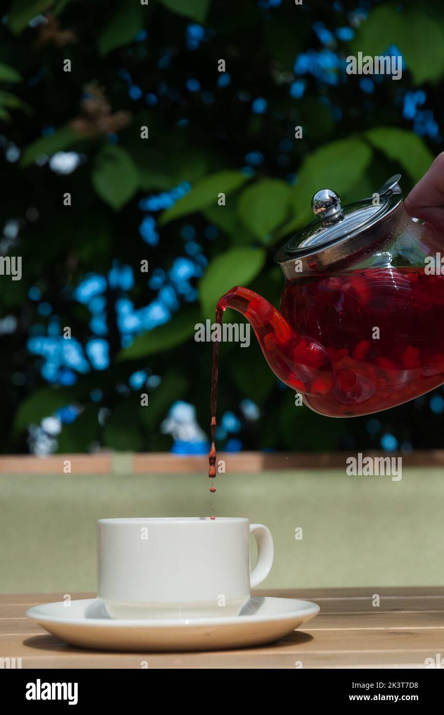 glass teapot of sweet raspberry tea in the restaurant Stock Photo - Alamy