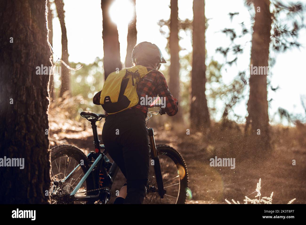 Back view of human with backpack riding on bicycle on path between ...