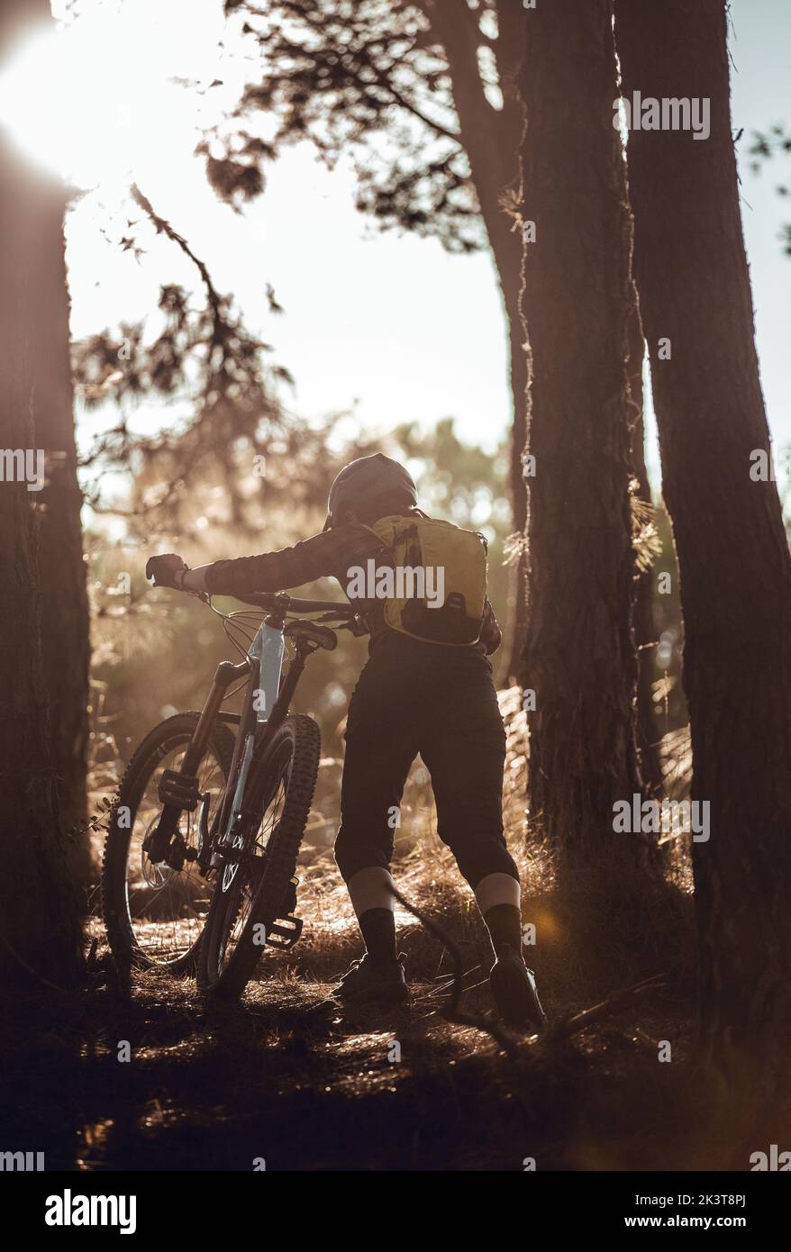 Back view of human with backpack riding on bicycle on path between ...