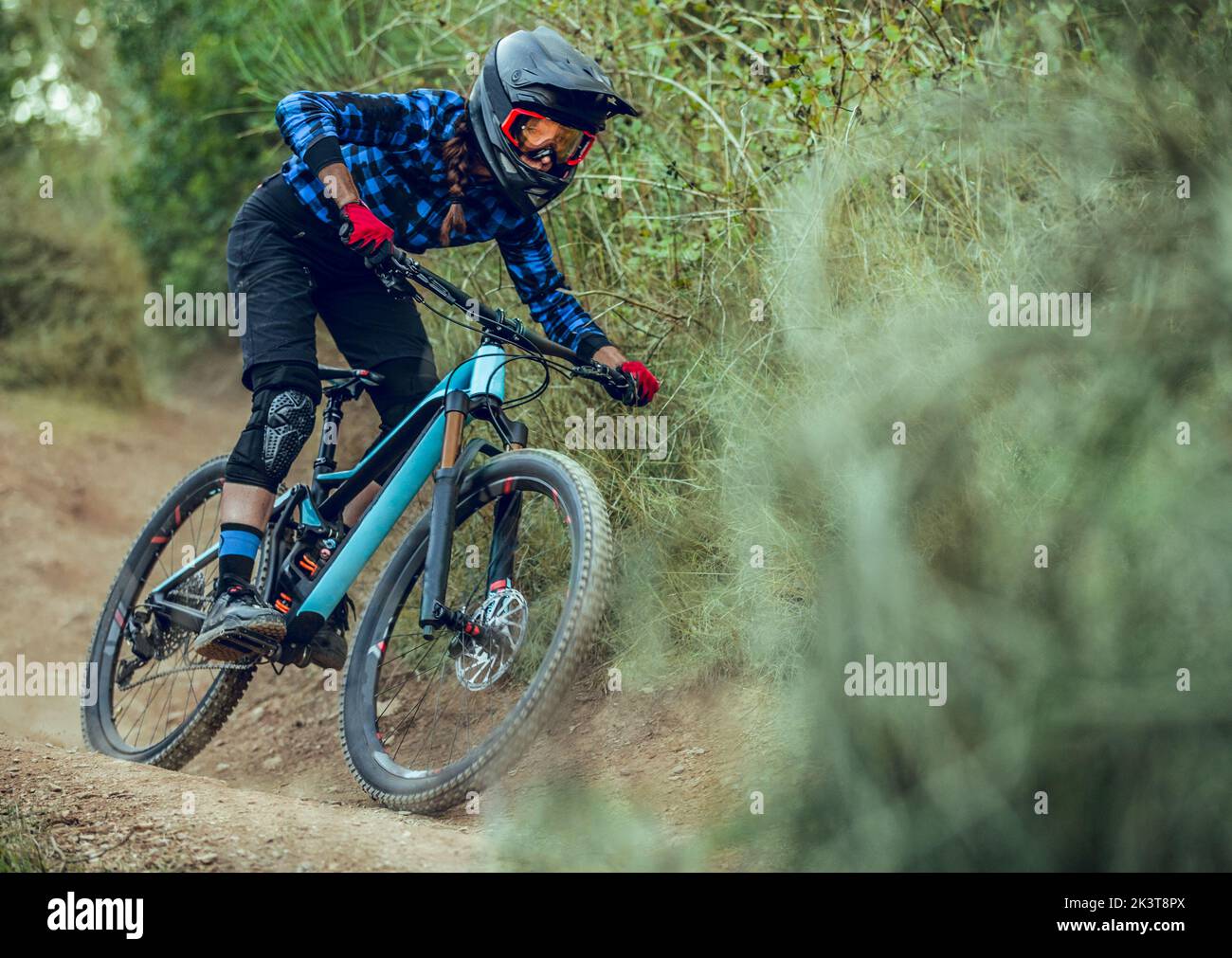 Woman riding on bicycle on path between trees on hill in forest Stock ...