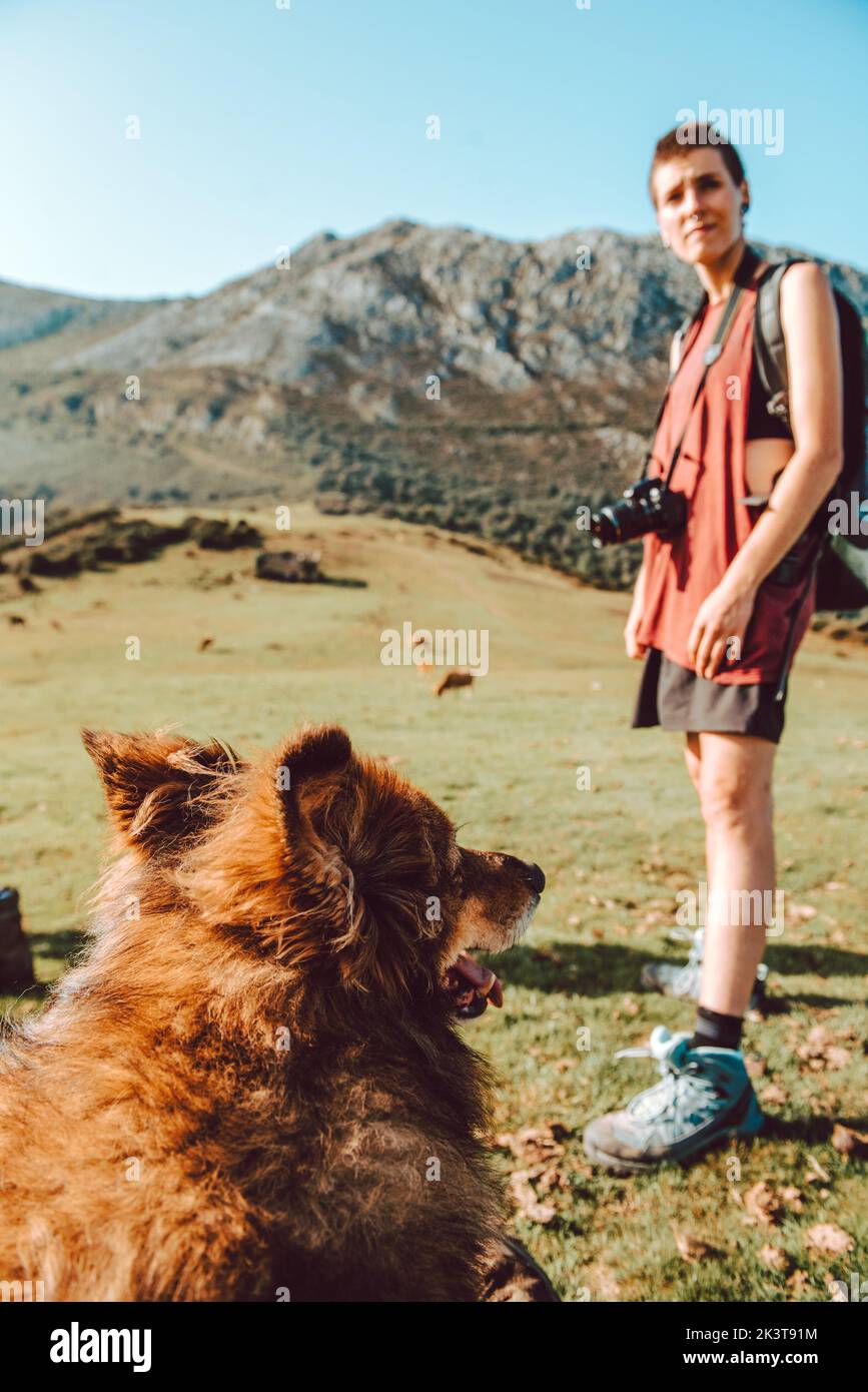 Side view of inspired tourist with heavy backpack watching at mountains ...