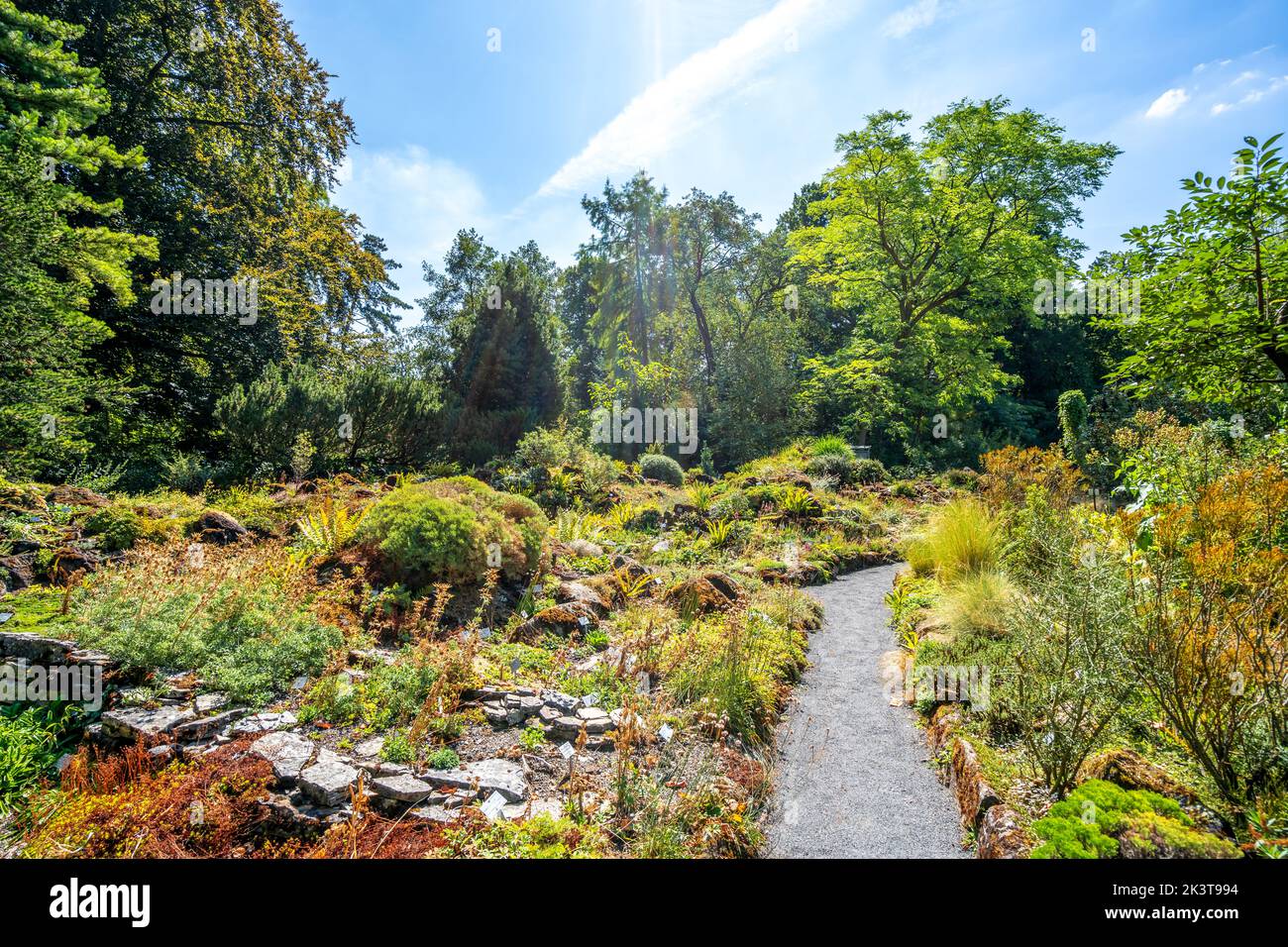 Botanical garden, Giessen, Hessen, Germany Stock Photo - Alamy
