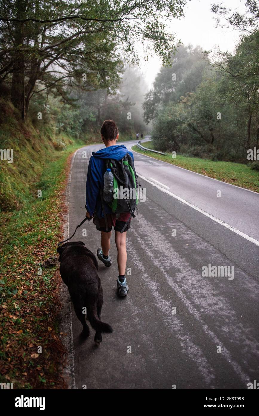 Back view of anonymous female traveler with dog walking along asphalt ...