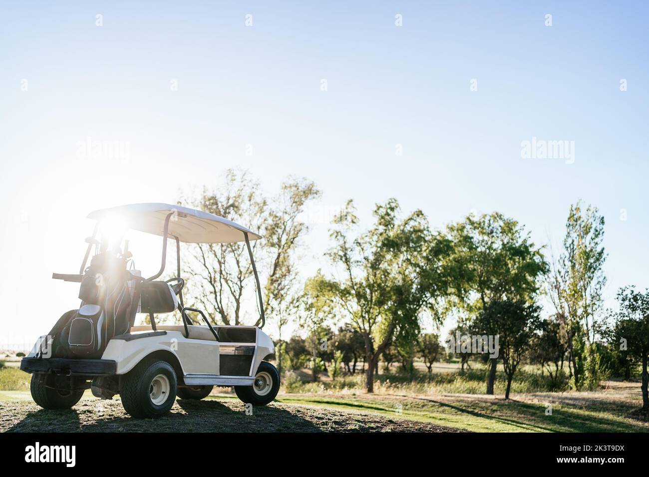 Golf cart in green field against lush trees in sunlight Stock Photo - Alamy