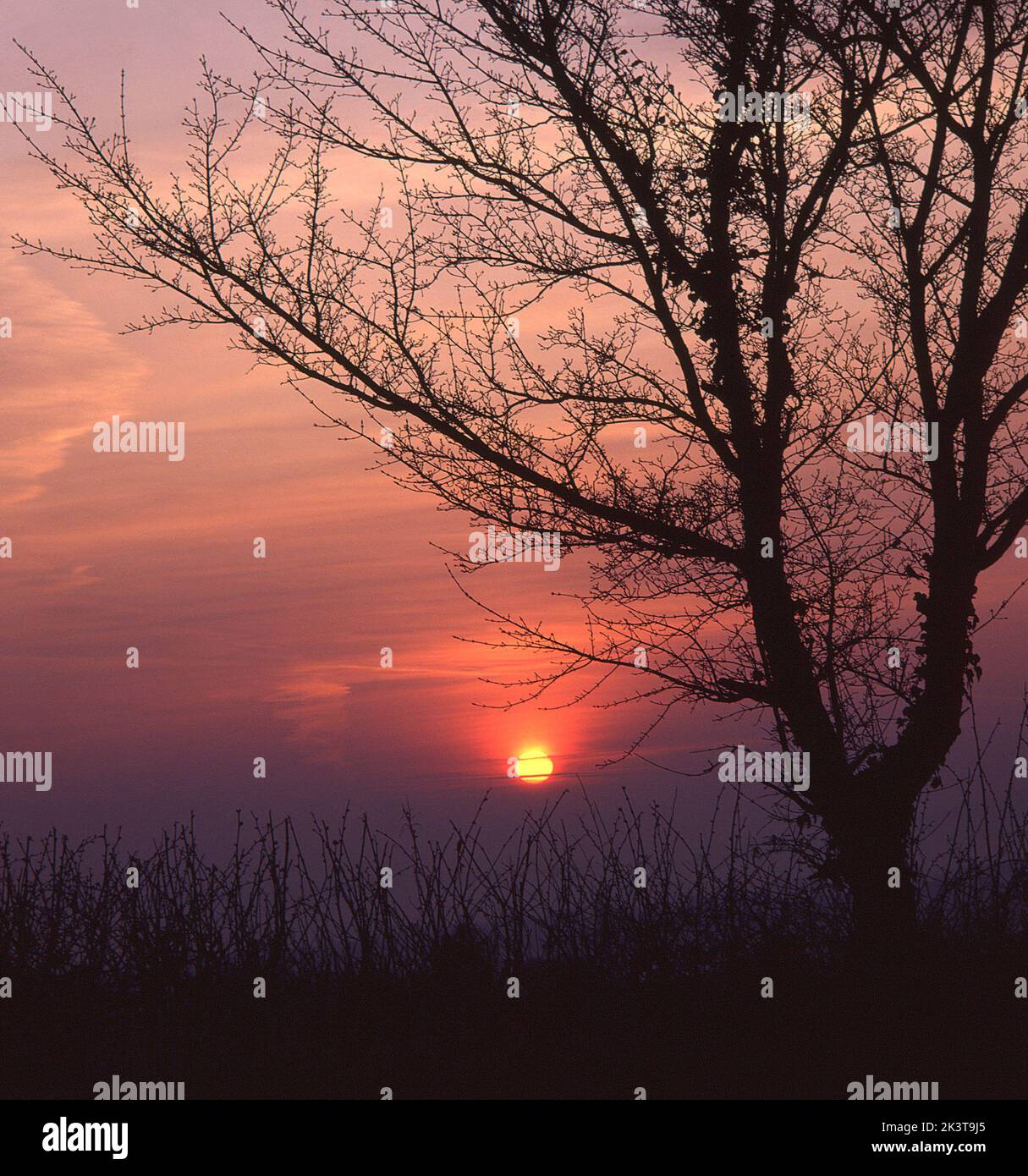 Sunrise near Kington Magna, Dorset, England Stock Photo - Alamy