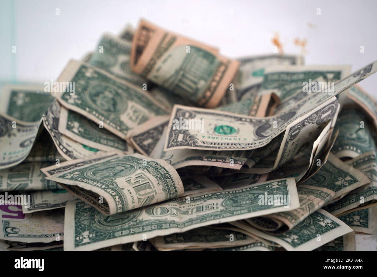 many dollar check paper inside transparent tip box Stock Photo - Alamy