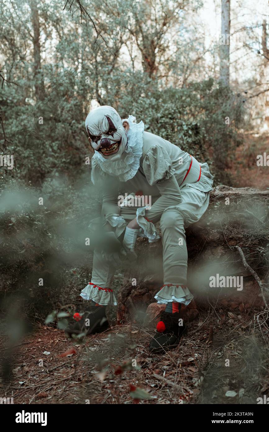 a creepy evil clown, wearing a gray costume with a white ruff, seen ...