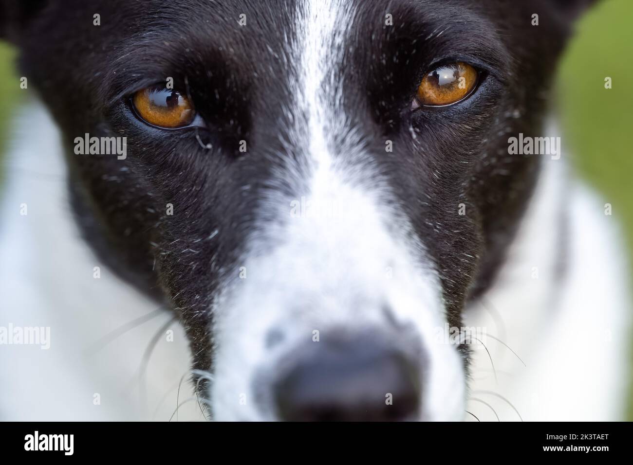 Daytime daylight outside outdoors hi-res stock photography and images ...