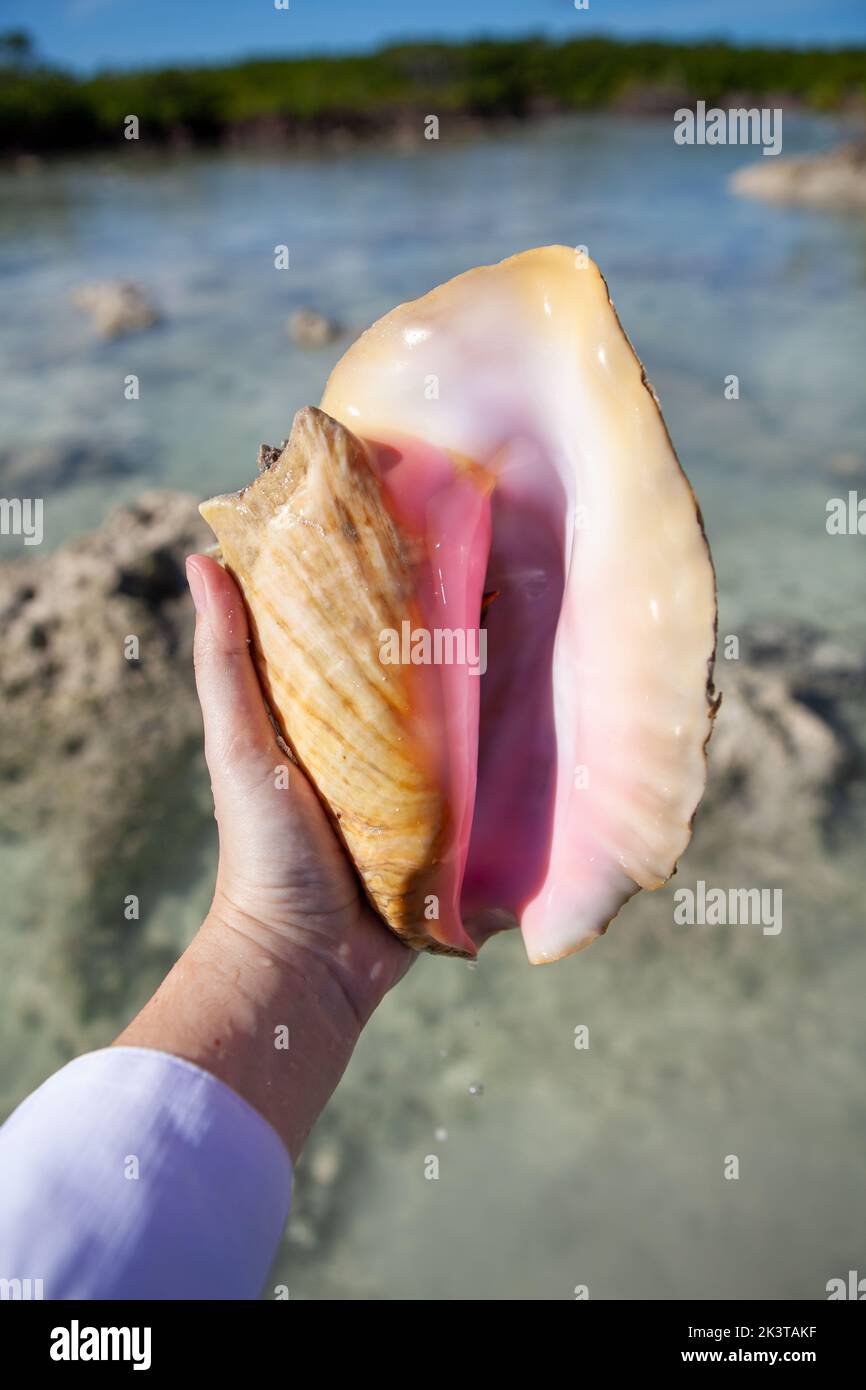 Bahamas person hi-res stock photography and images - Alamy