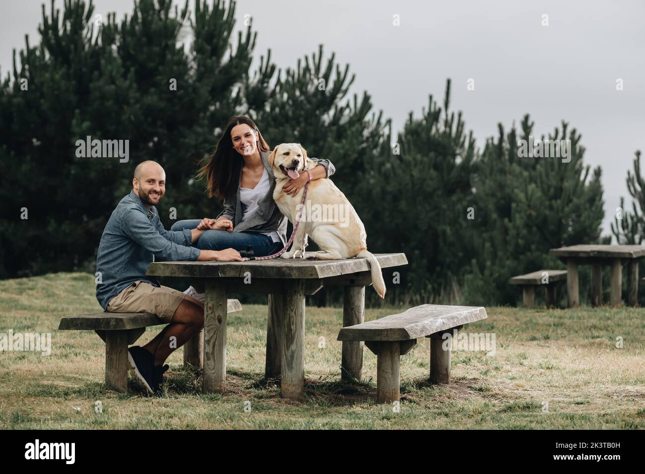 Adorable couple sitting at bench in park and hugging Labrador Retriever ...