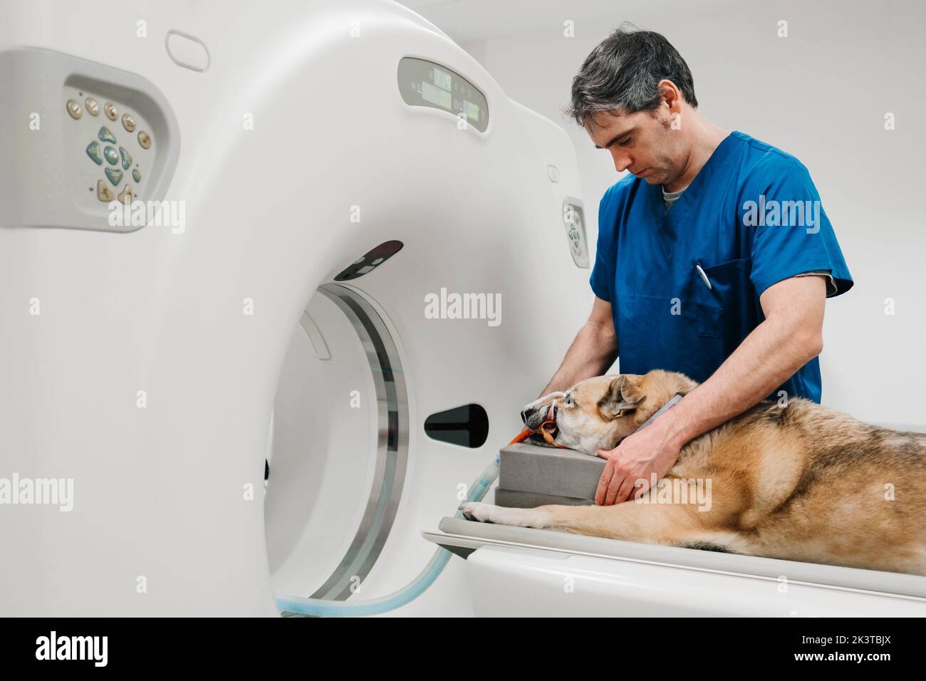 Doctor examine pet scan hi-res stock photography and images - Alamy