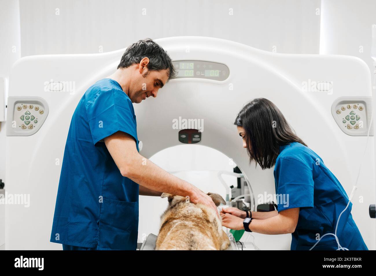 Doctor examine pet scan hi-res stock photography and images - Alamy