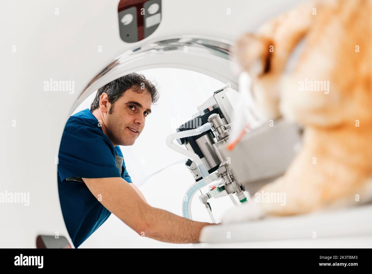 Side view of veterinary doctor in uniform standing near dog and ...