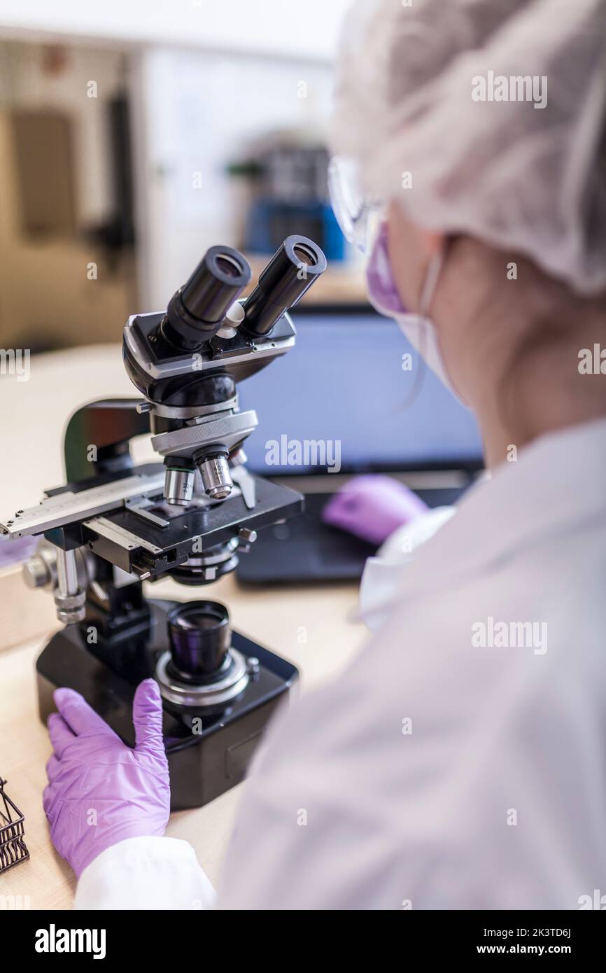 back view of anonymous woman scientist looking through microscope at ...